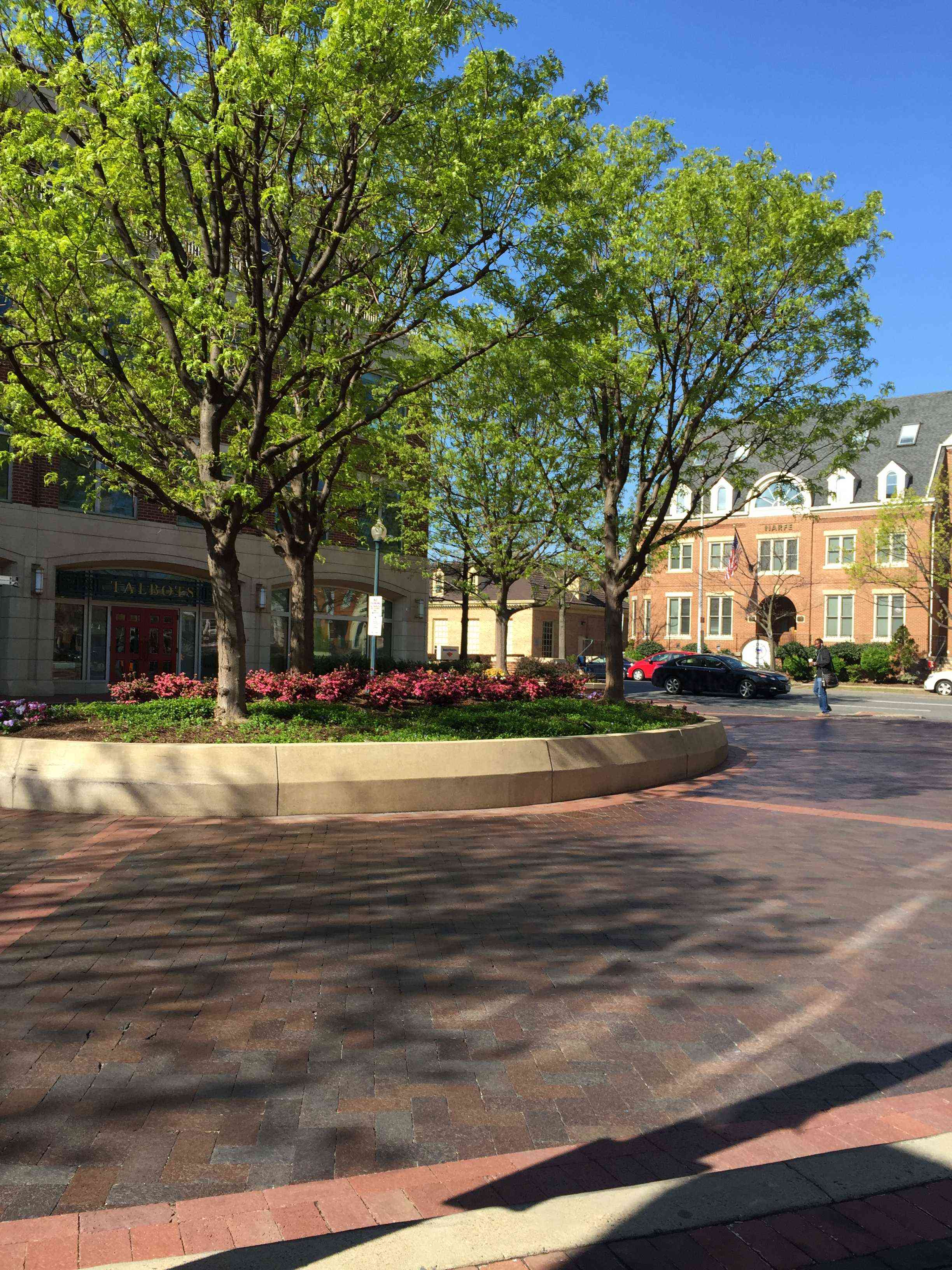 Washington Square - Gallery
